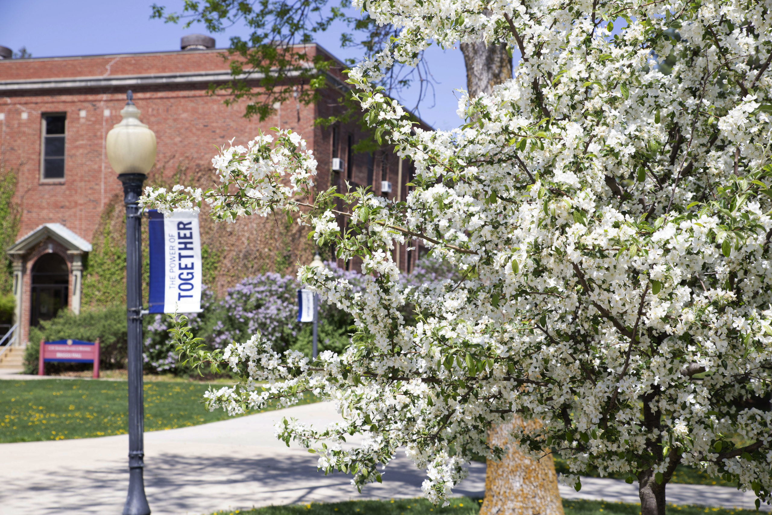 Then & Now | Graceland